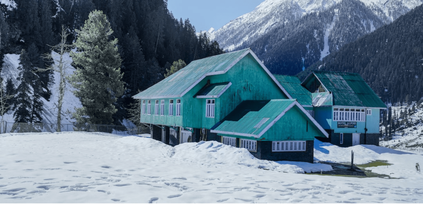 Day 1: Srinagar - The Jewel on Dal Lake